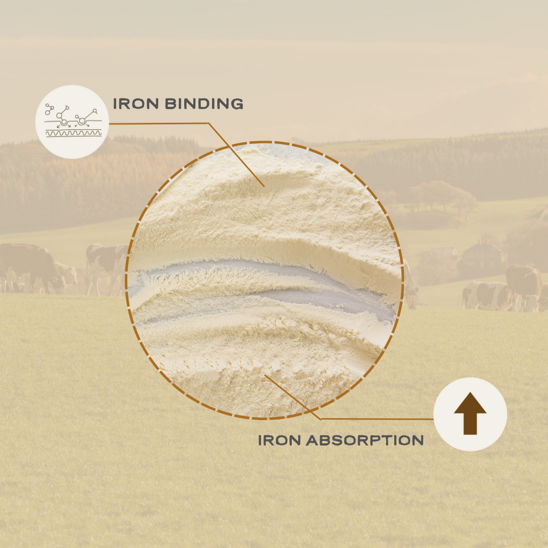 Iron By Nature: The #1 Natural Iron Supplement for Low Iron – Nahla Earth