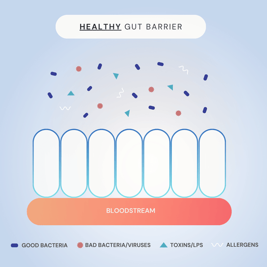 Bovine Colostrum: Grass-Fed From The NZ Southern Alps – Nahla Earth